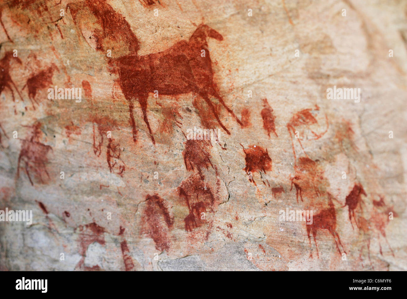 San rock art in cave interior Stock Photo - Alamy