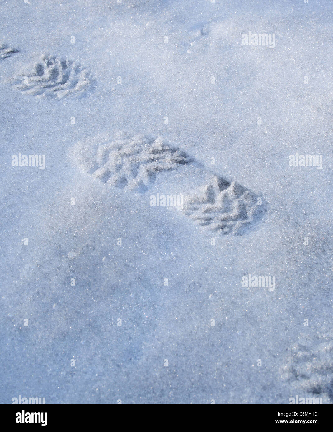 Trace route hi-res stock photography and images - Alamy