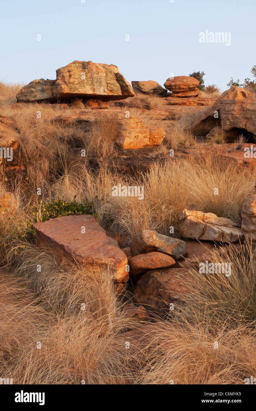 Landscape with rocks and grass Stock Photo - Alamy