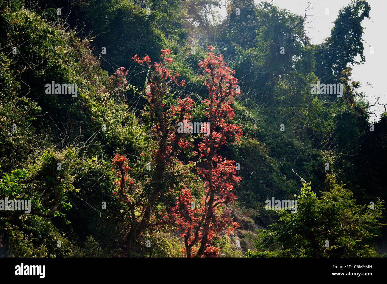 Chakrata uttarakhand hi-res stock photography and images - Alamy