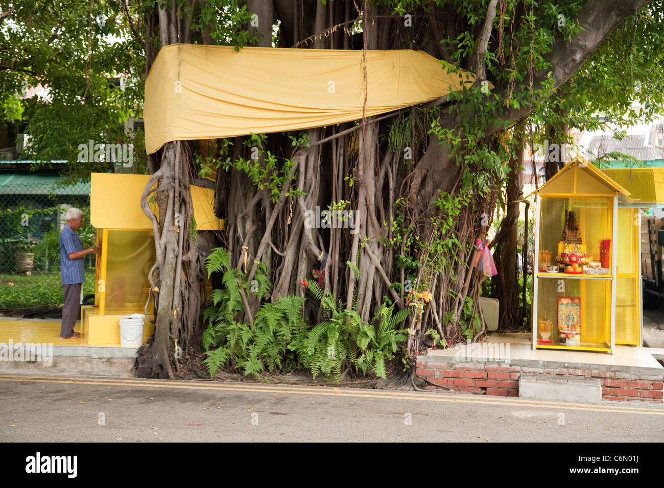 Bo tree hi-res stock photography and images - Alamy