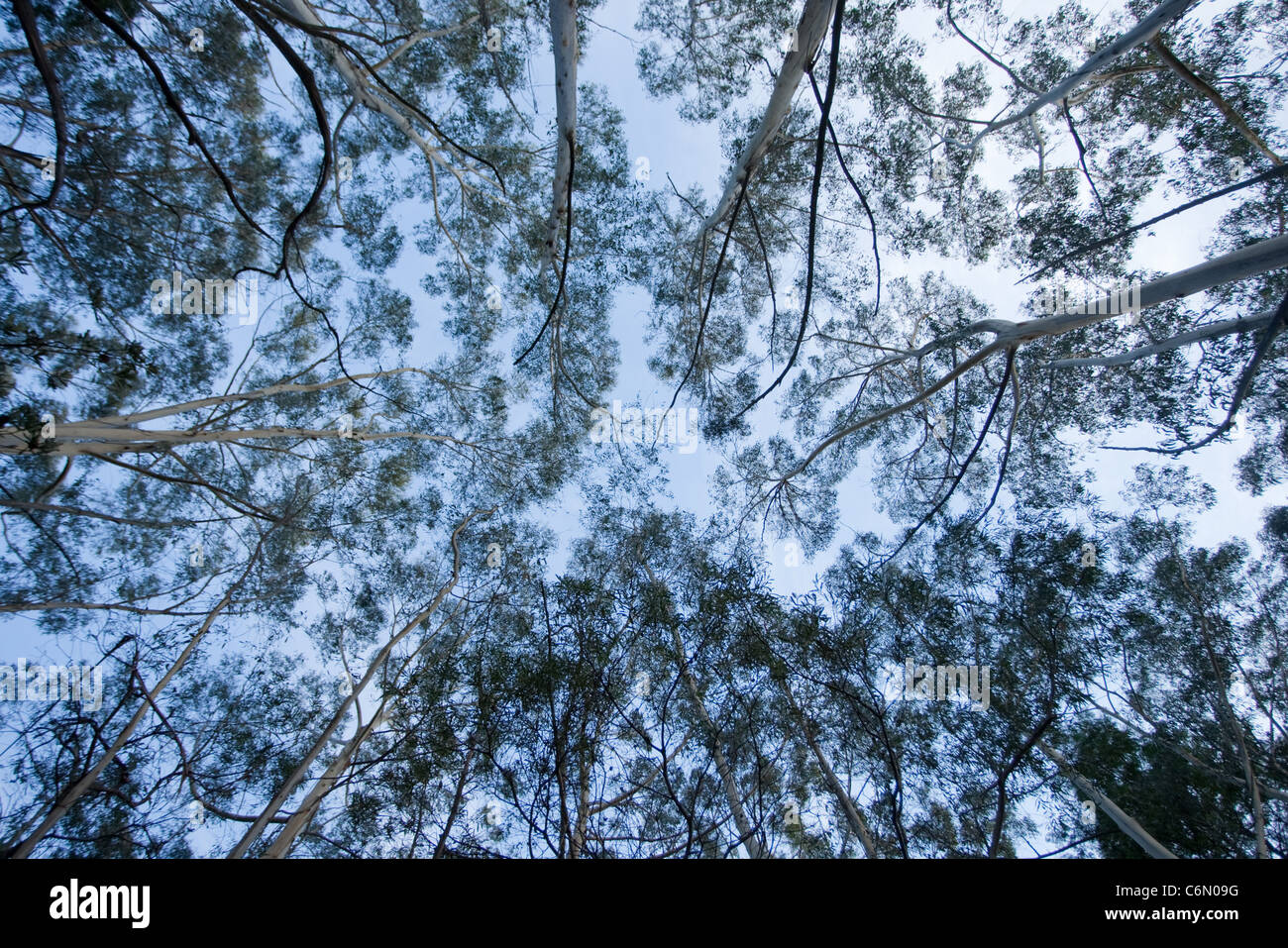 Angle blue hi-res stock photography and images - Alamy