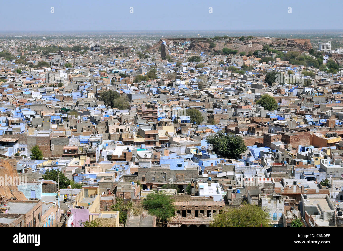 Brahmin blue hi-res stock photography and images - Alamy
