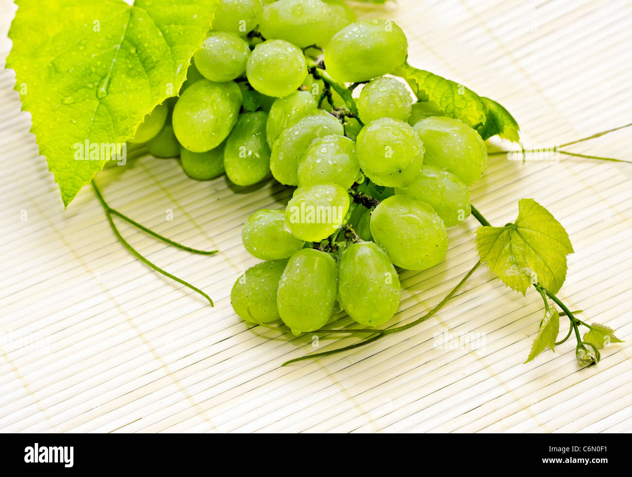 Grapes with dew vineyard hi-res stock photography and images - Alamy