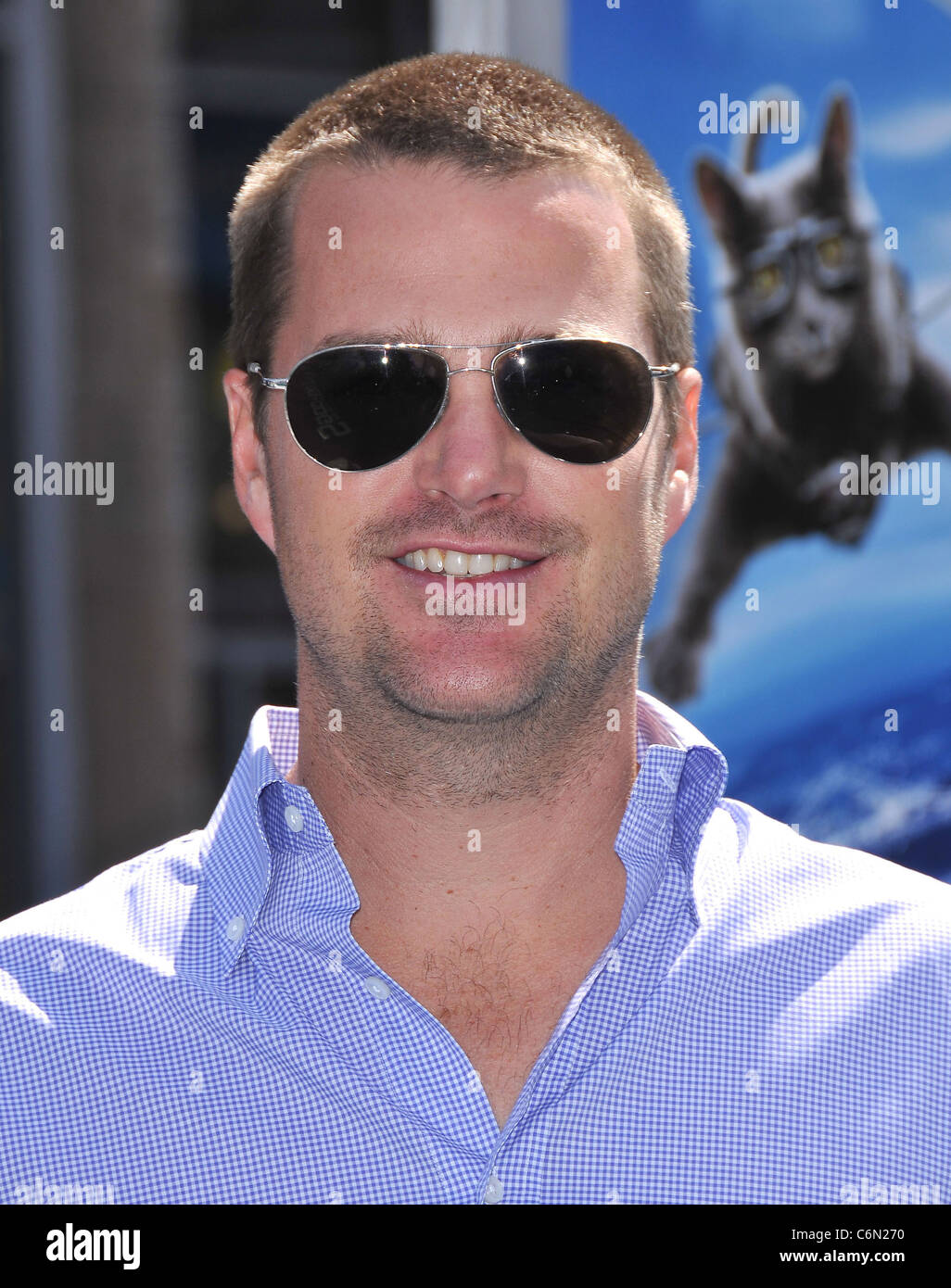 Chris O'Donnell Los Angeles Premiere of "Cats & Dogs: The Revenge Of ...