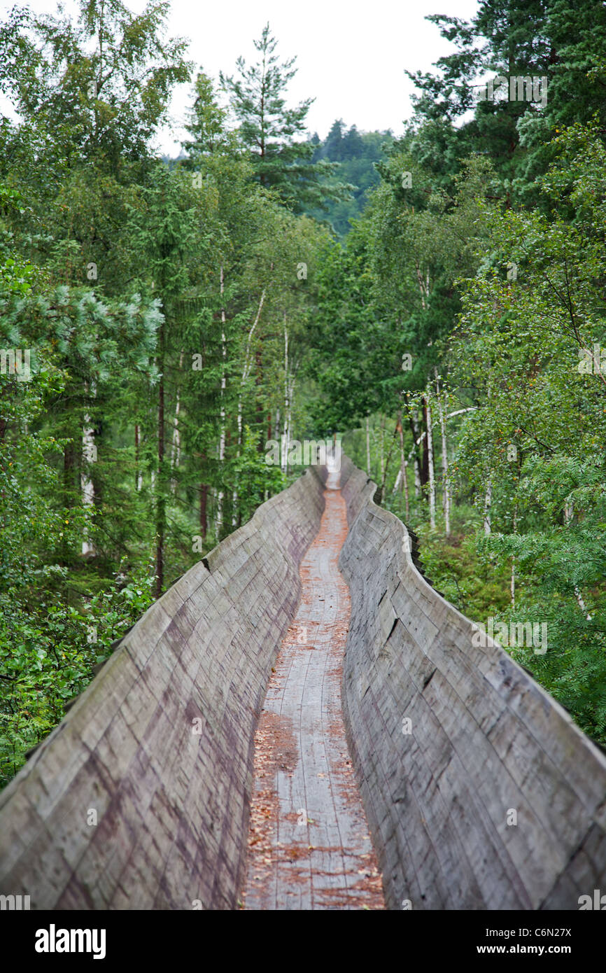 Old timber slide through the forest Stock Photo - Alamy