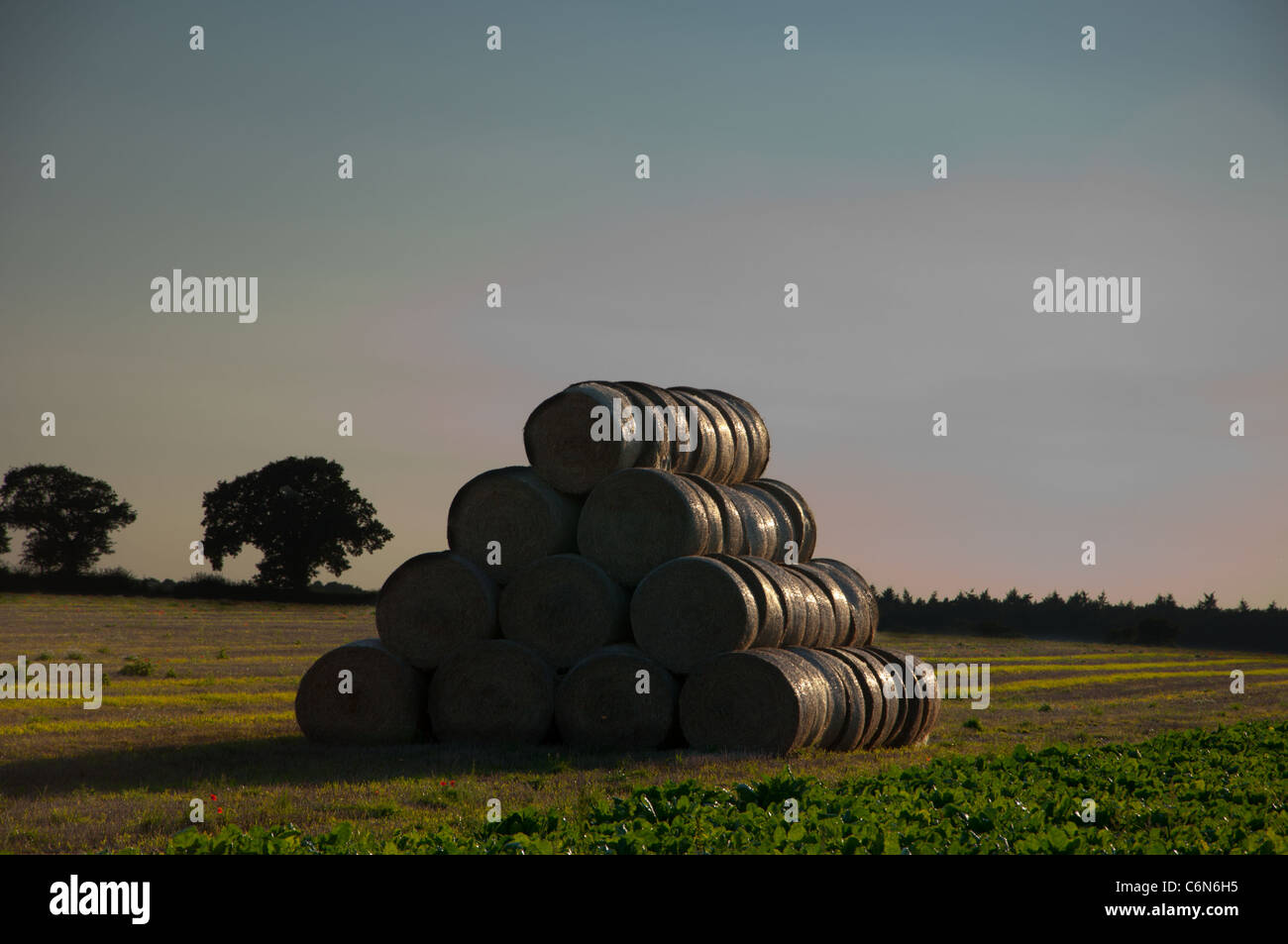 Round hay bails hi-res stock photography and images - Alamy