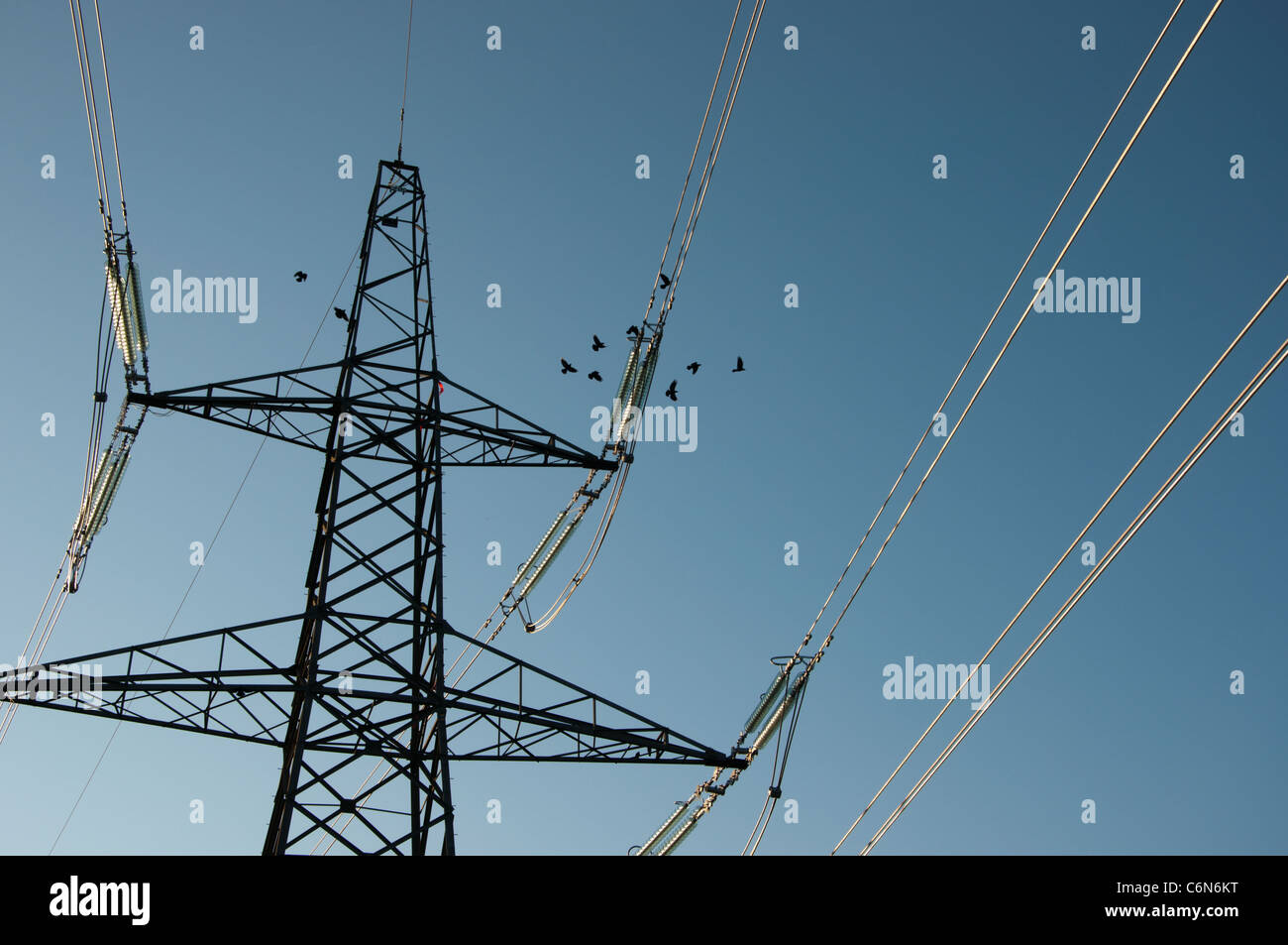 Birds and pylons hi-res stock photography and images - Alamy