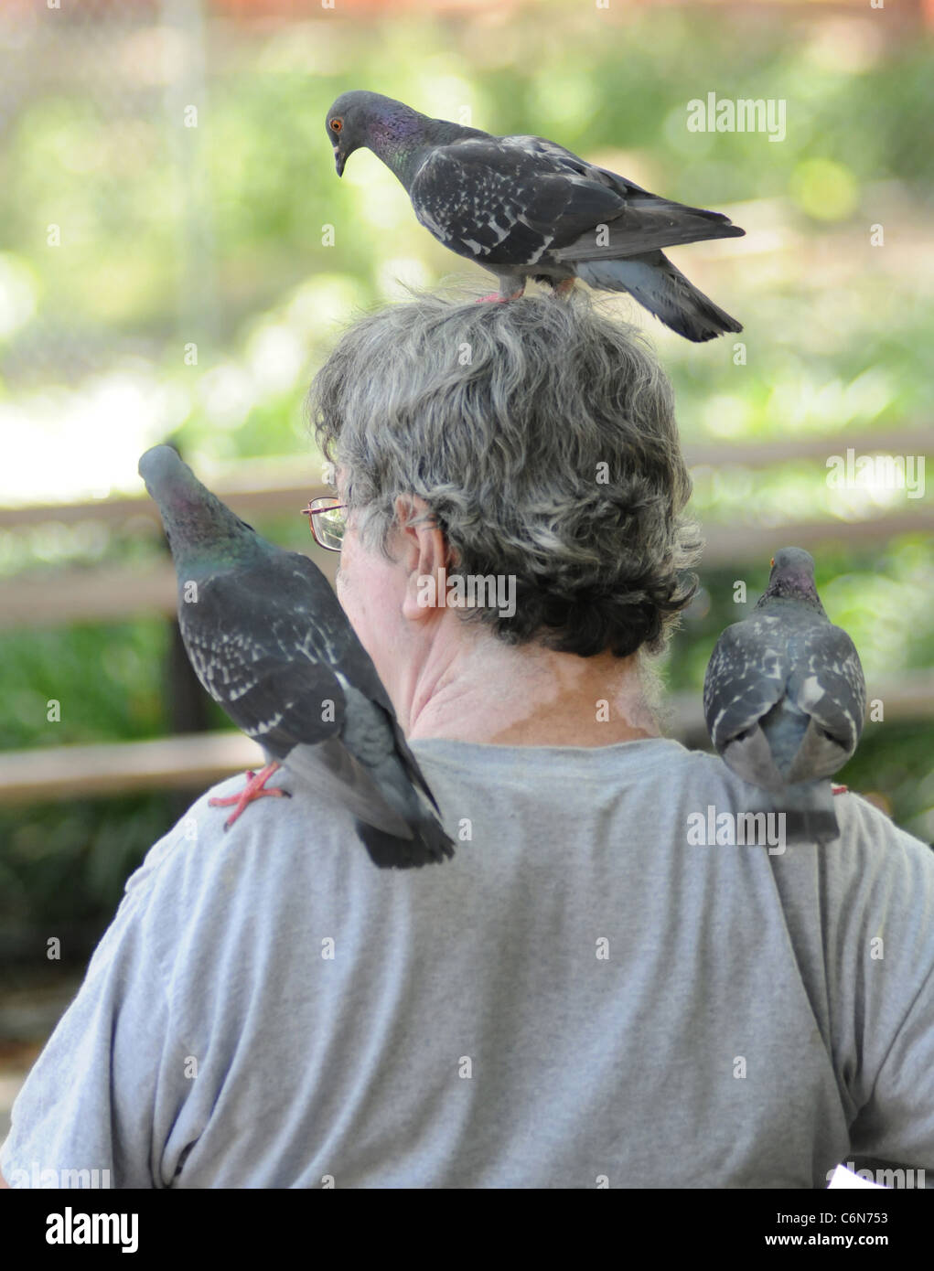 The Bird Whisperer shows kids how to handle pigeons on a sunny day in ...