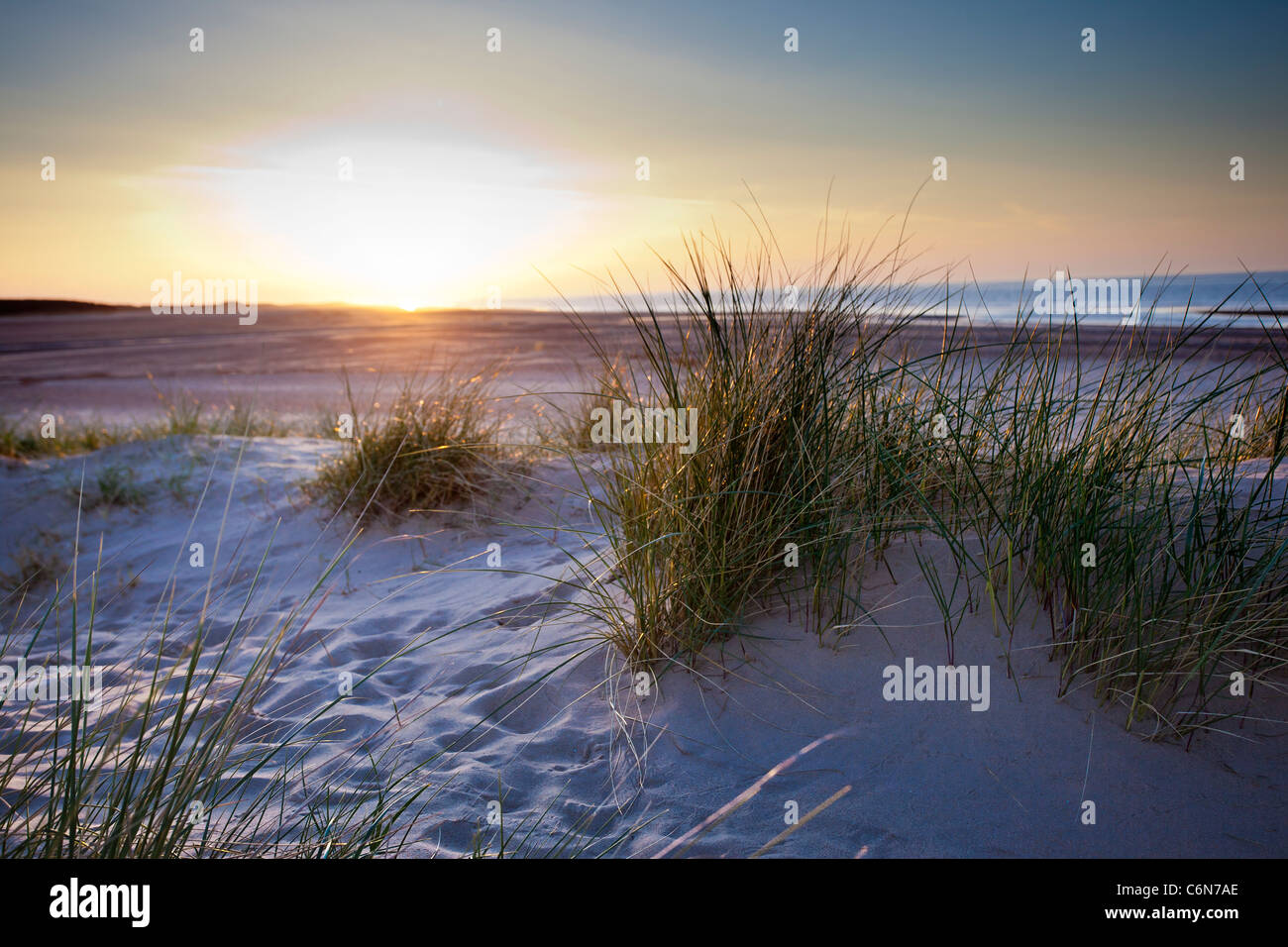 Tufty grass hi-res stock photography and images - Alamy