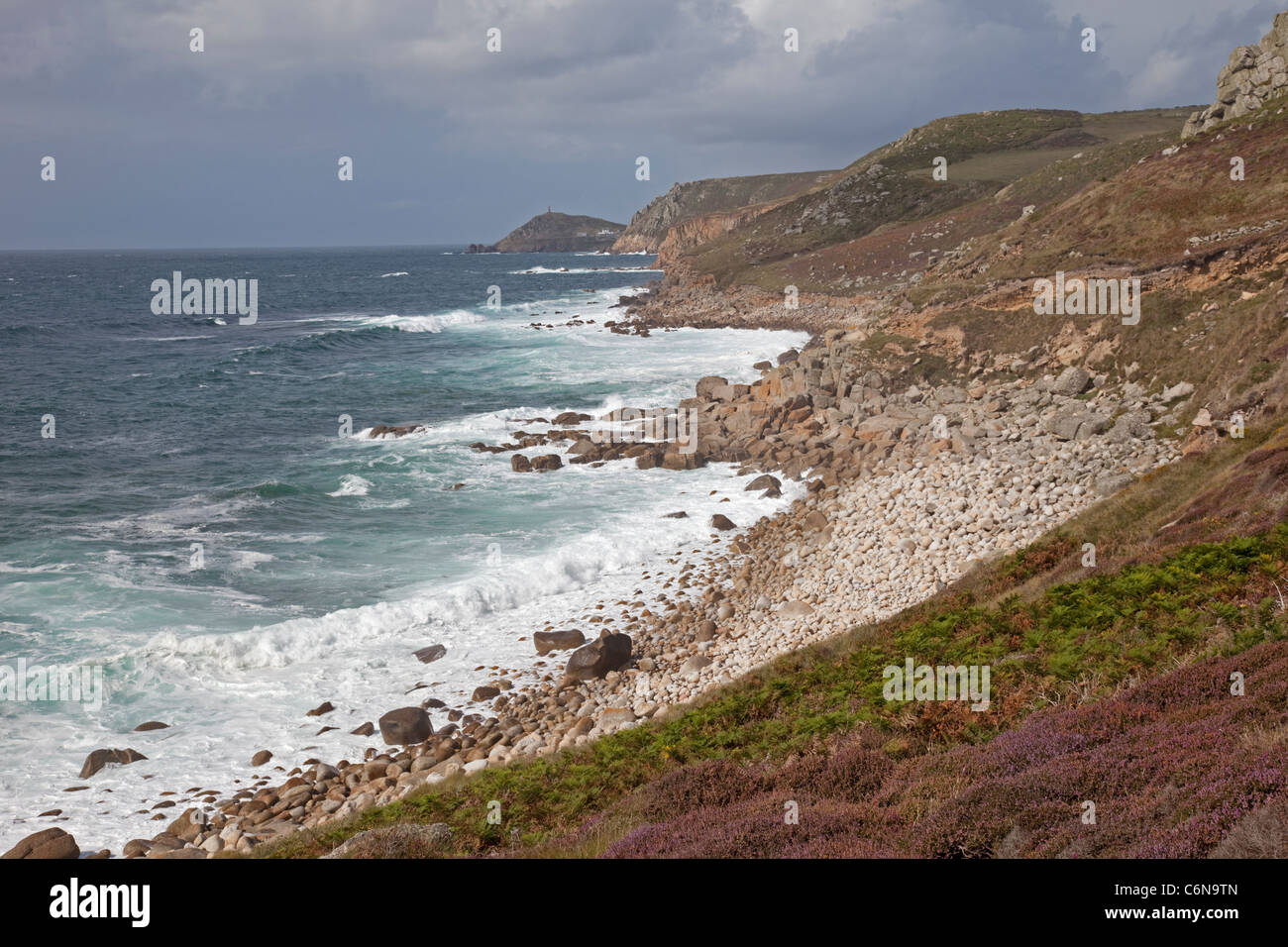 Coastal scenery with heather in foreground from South West coastal path ...