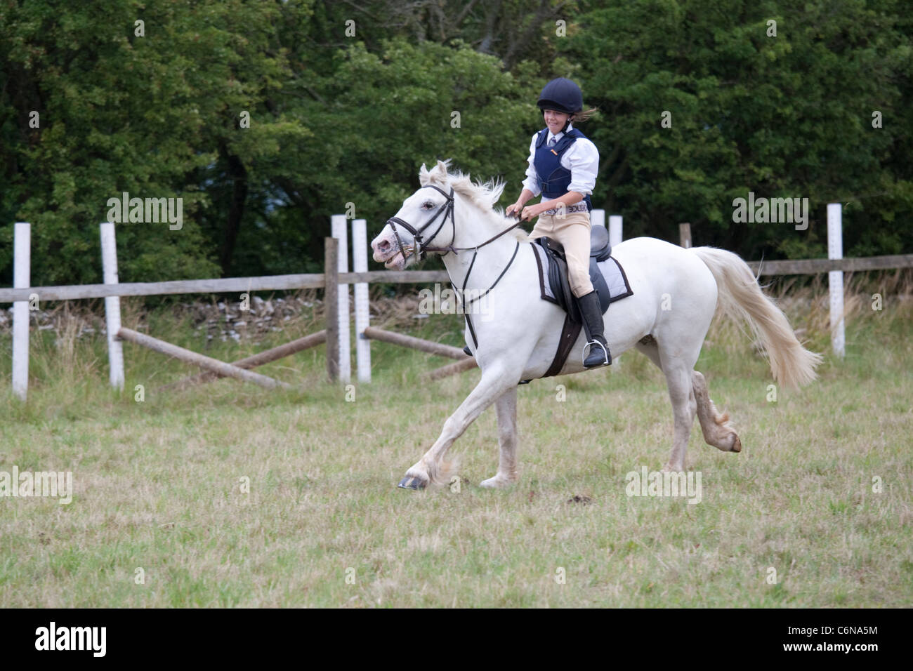 Pony Cantering High Resolution Stock Photography and Images - Alamy