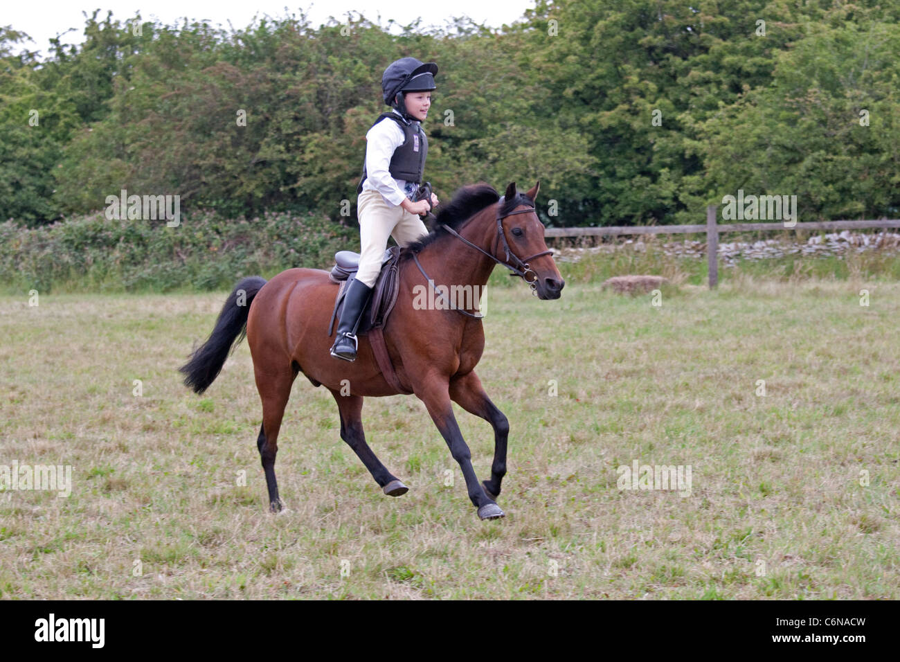 Young horse rider cantering North Cotswold Pony Club Camp Stock Photo ...