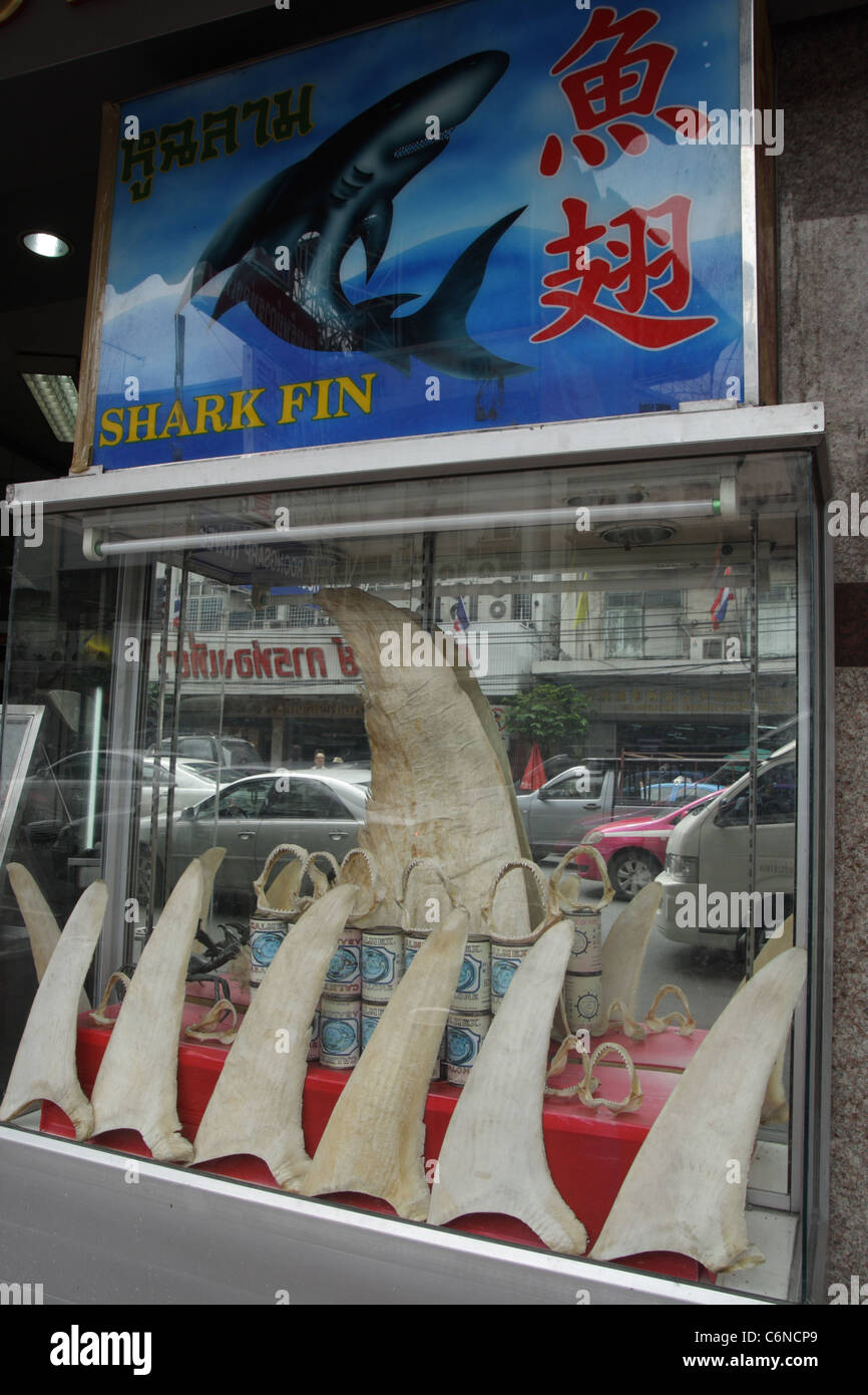 Shark fin restaurant in bangkok hi-res stock photography and images - Alamy