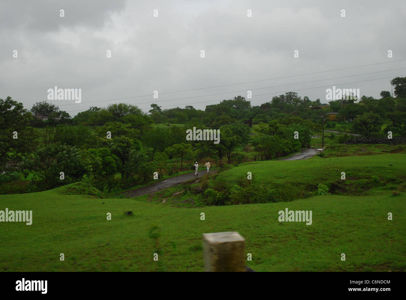 rainy season field Stock Photo - Alamy