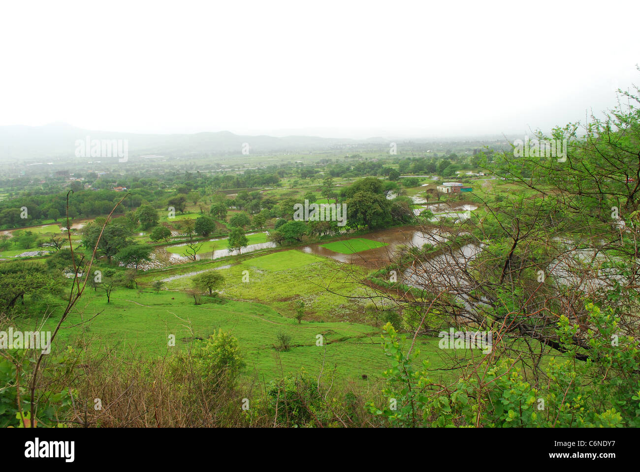 rainy season field Stock Photo - Alamy
