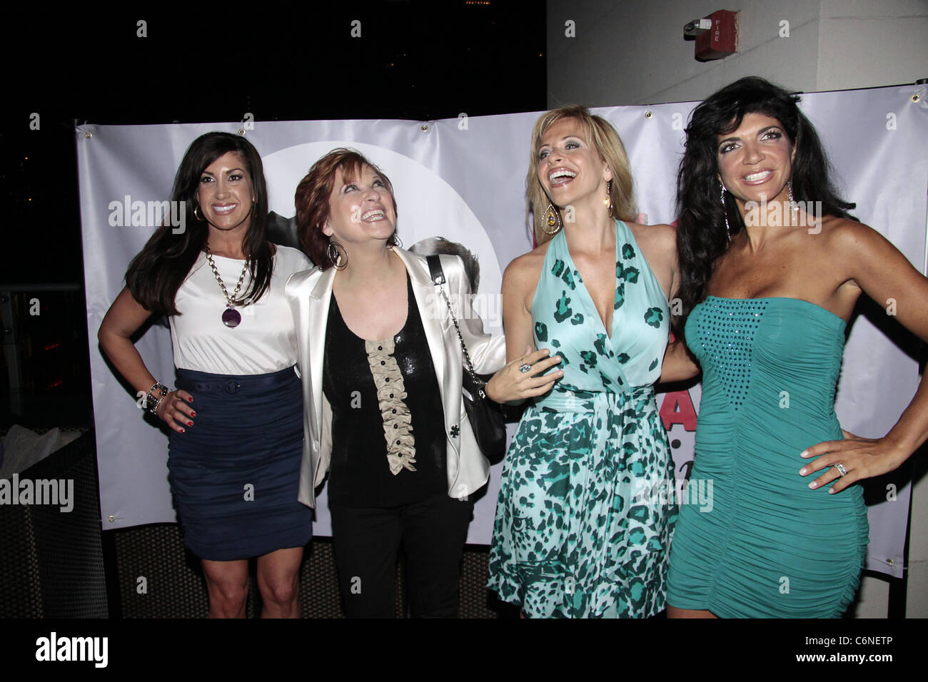 Jacqueline Laurita, Caroline Manzo, Dina Manzo, and Teresa Giudice 'The ...