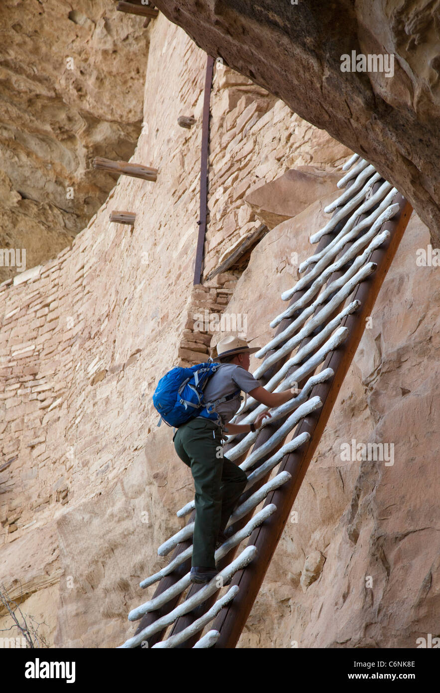 A Park Ranger Climbs a Ladder to Enter the Balcony House cliff dwelling ...