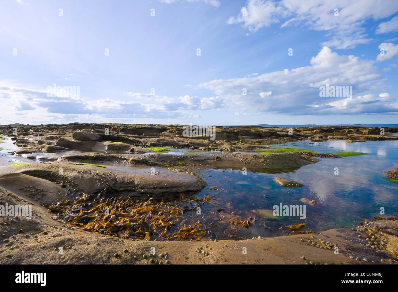 Seahouses, Northumberland, England. Seascape Stock Photo - Alamy