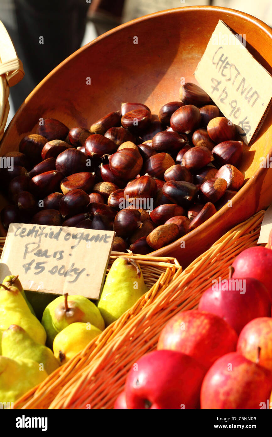 Tropical frits hi-res stock photography and images - Alamy