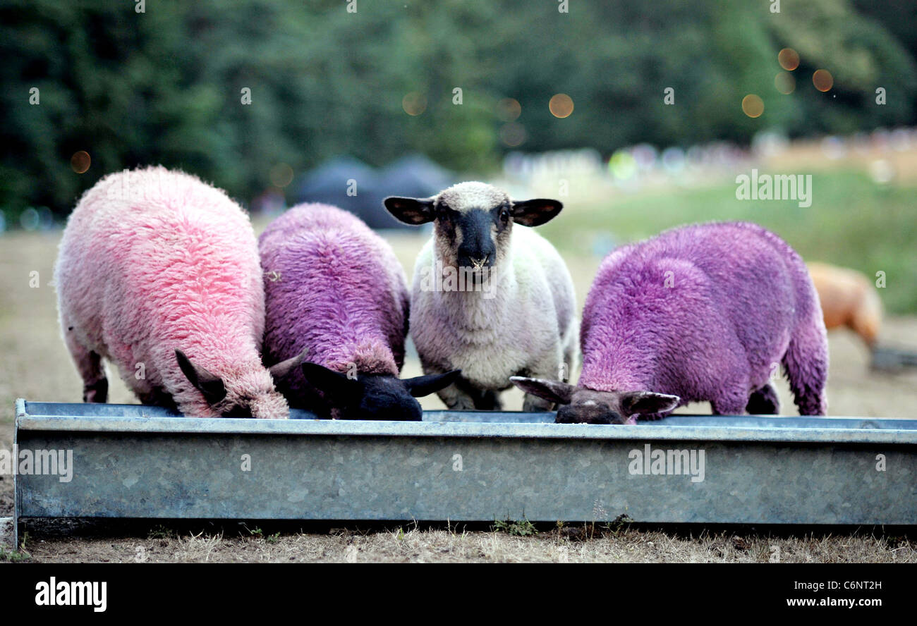 Latitude Purple High Resolution Stock Photography and Images - Alamy