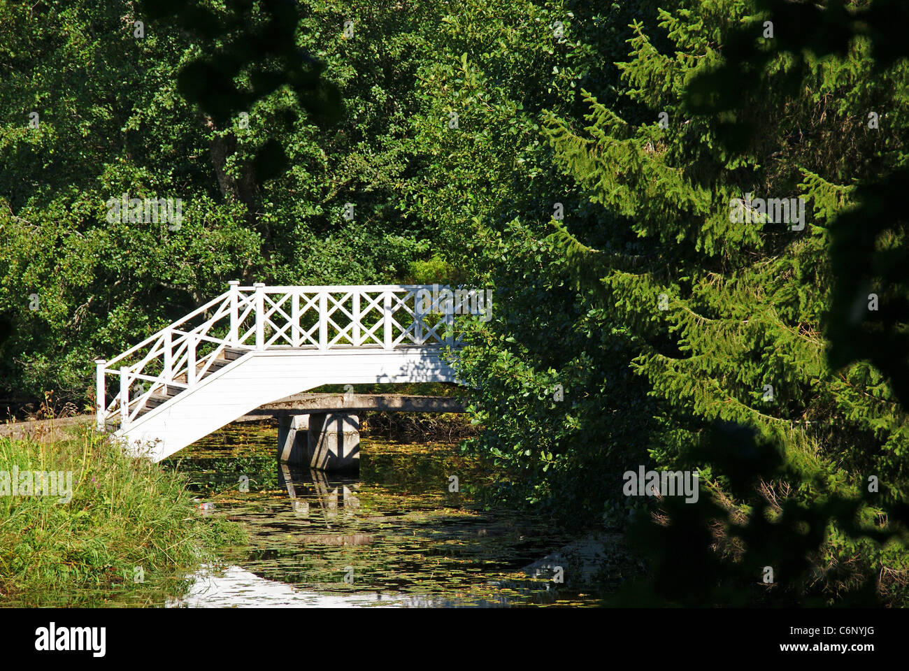 The white bridge on a background of a green grass and trees Stock Photo ...