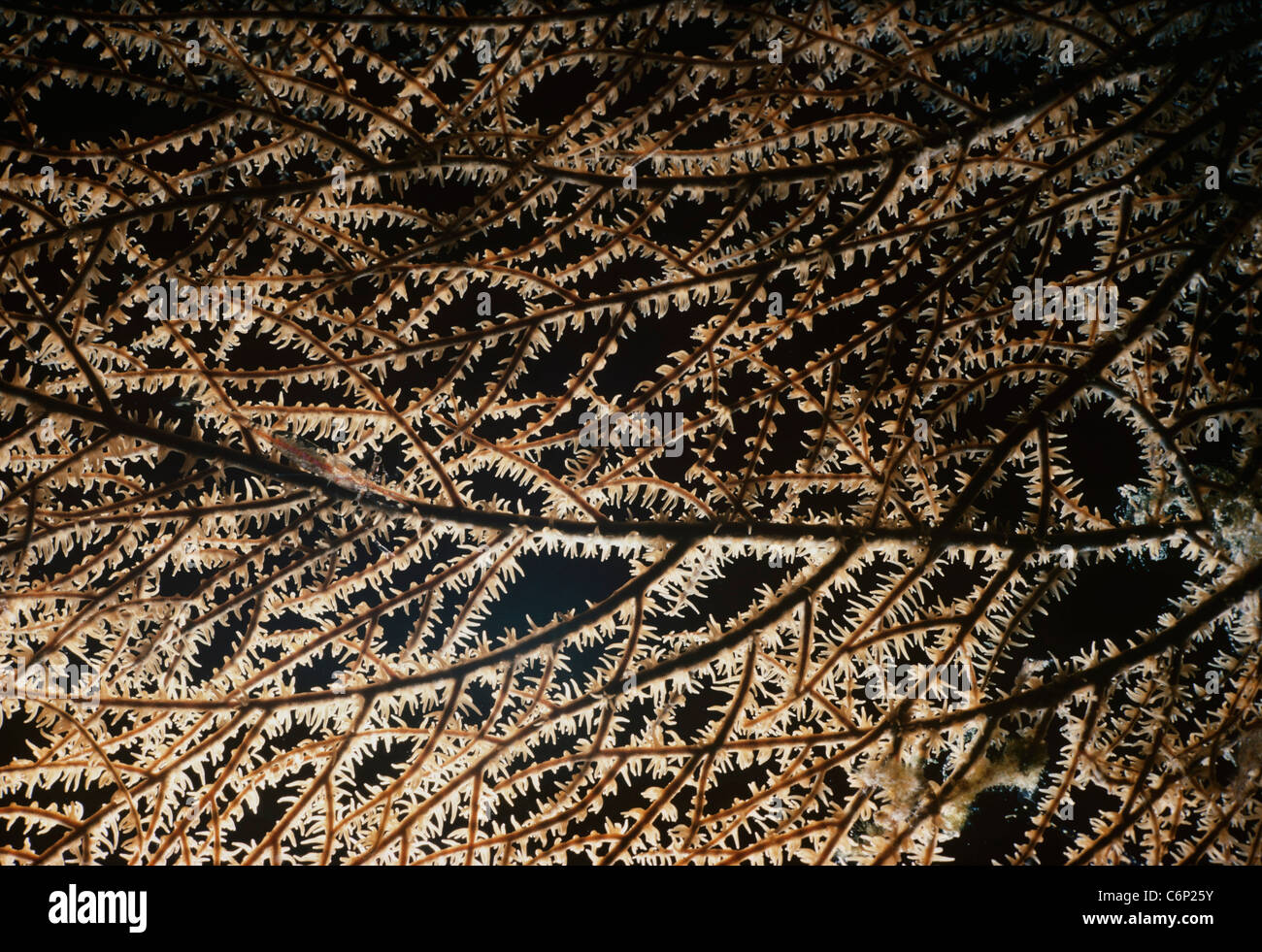 J05kw hi-res stock photography and images - Alamy