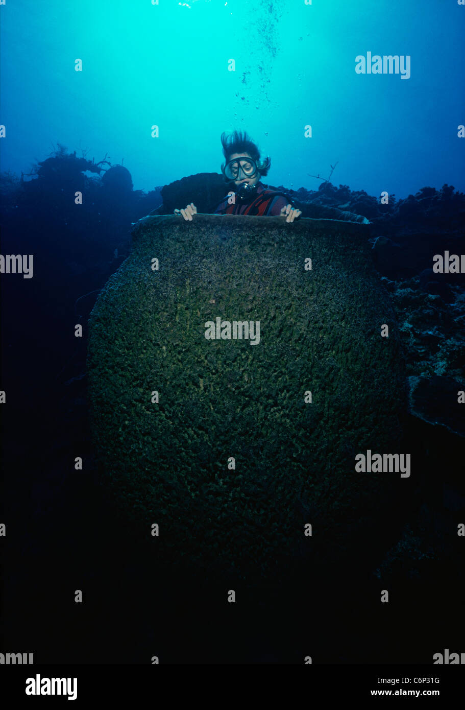 Diver with a Giant Netted Barrel Sponge (Verongula gigantea). Cayman ...