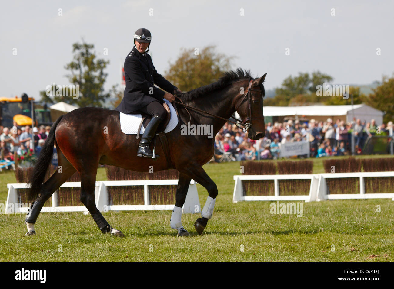 The Metropolitan Police Mounted Branch perform their Activity Ride at ...