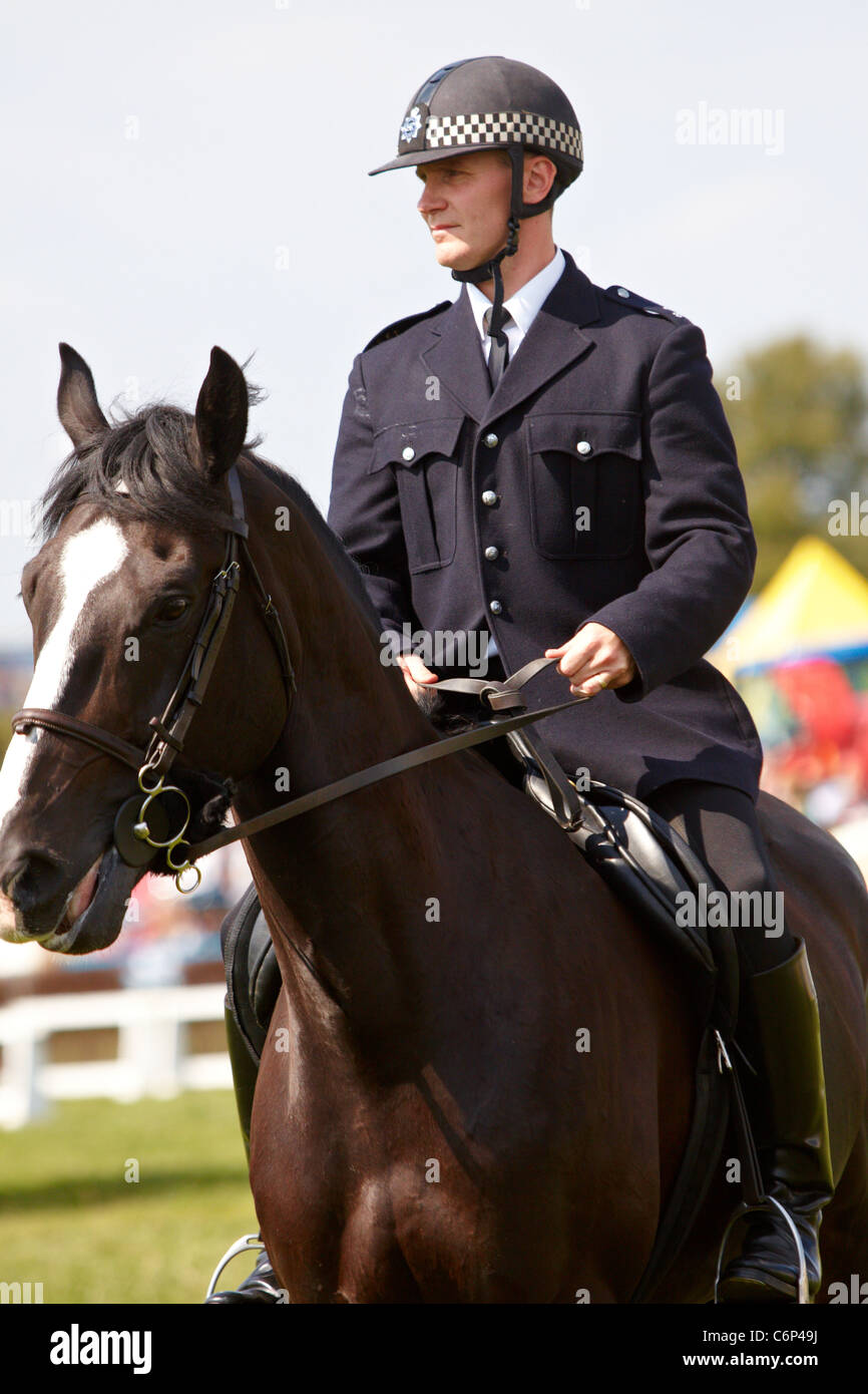 The Metropolitan Police Mounted Branch perform their Activity Ride at ...