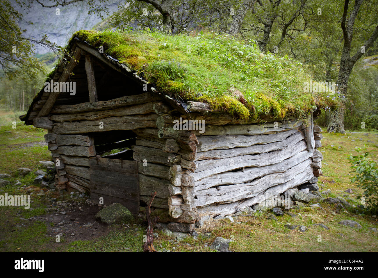 A turf roofed hut in the Olden Valley, on the approach to the Briksdal ...