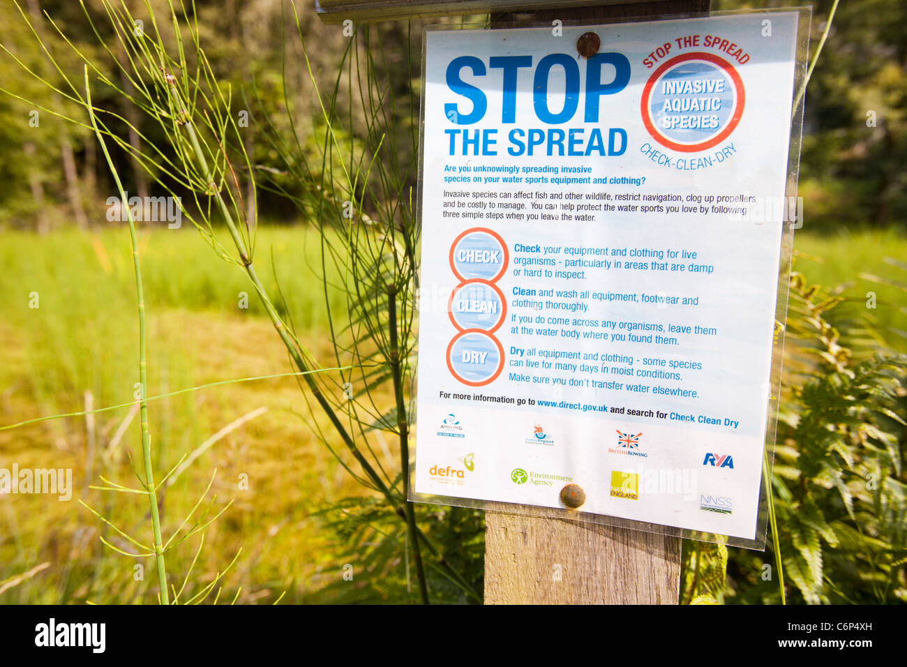 Invasive water plants hi-res stock photography and images - Alamy