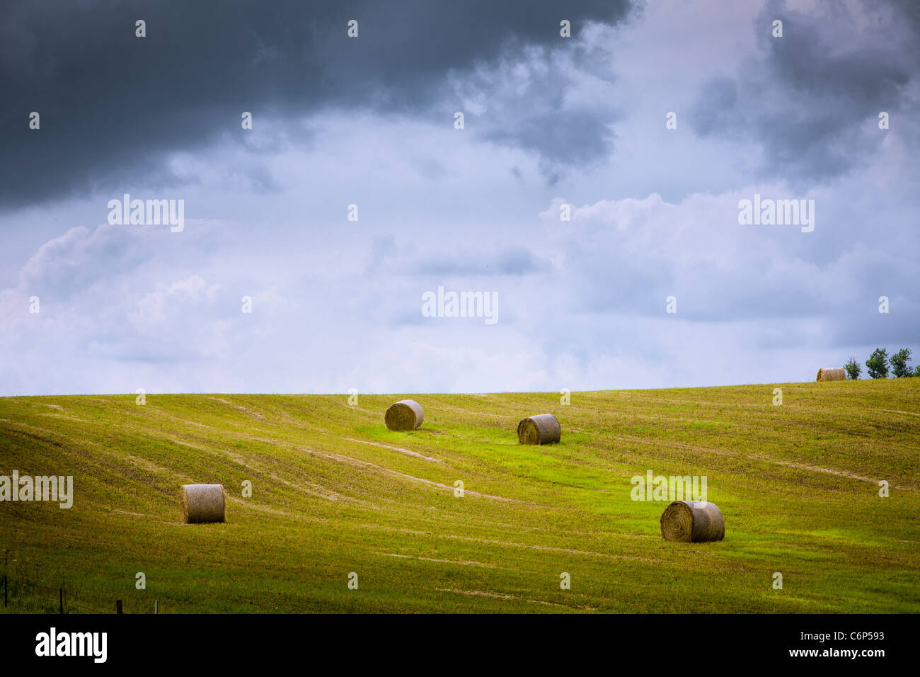 Bales of hay on rolling farmland Stock Photo - Alamy
