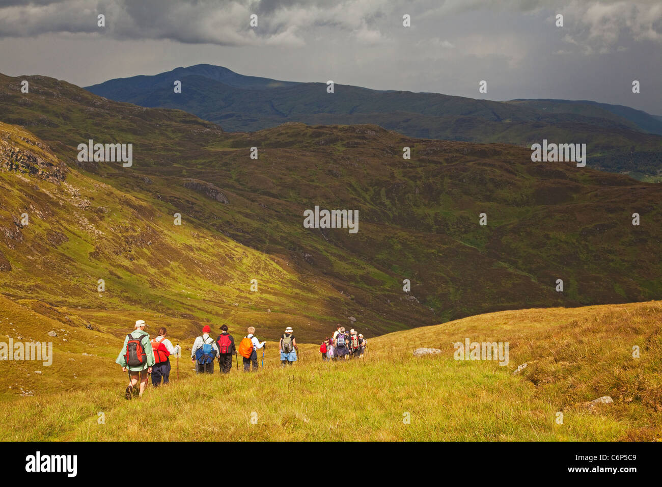 Stank hi-res stock photography and images - Alamy