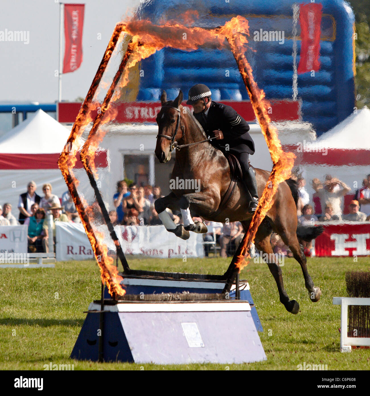 The Metropolitan Police Mounted Branch perform their Activity Ride at ...