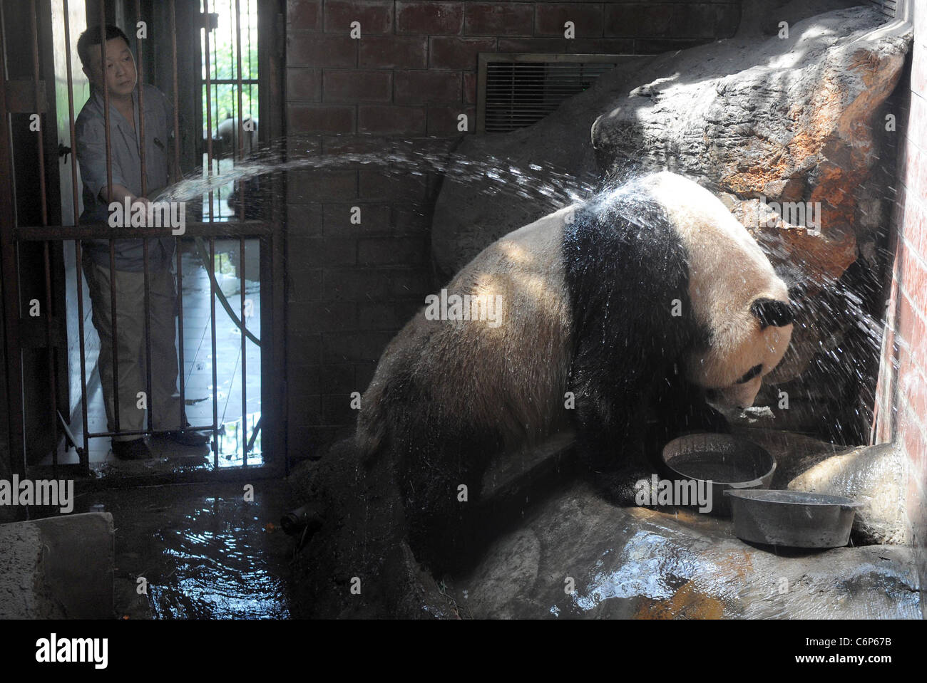 Beijing Zoo animals enjoy cold showers Animals at Beijing Zoo are ...