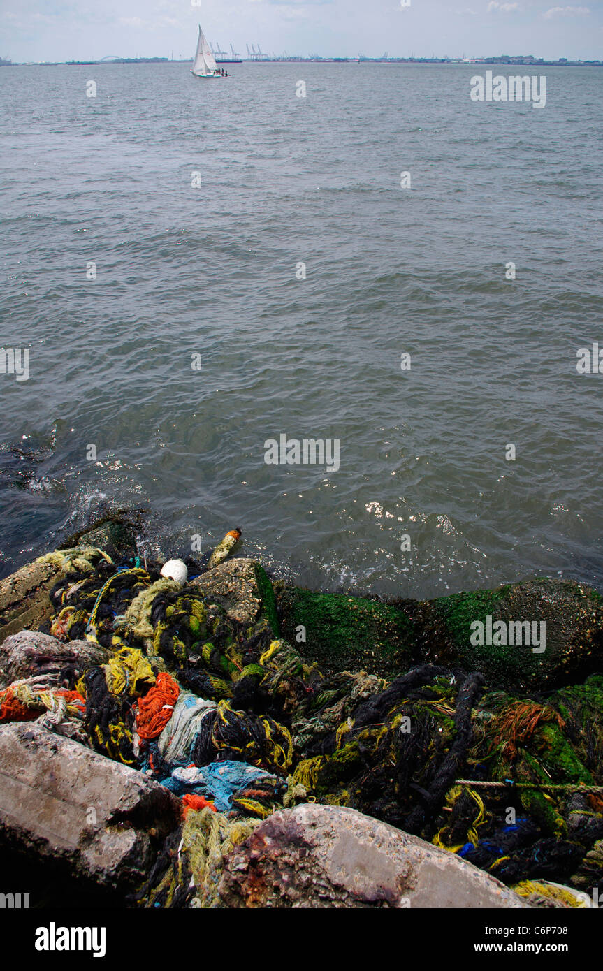 Marine flotsam and jetsam washed up on Governors Island seawall in NYC ...