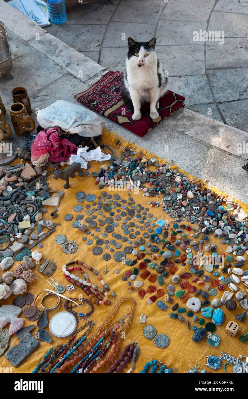 Street market trader's cat Amman Jordan Stock Photo - Alamy