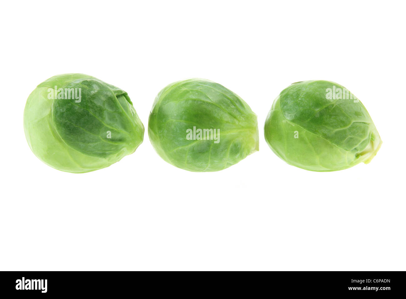 Vegetable sprouts Cut Out Stock Images & Pictures - Alamy