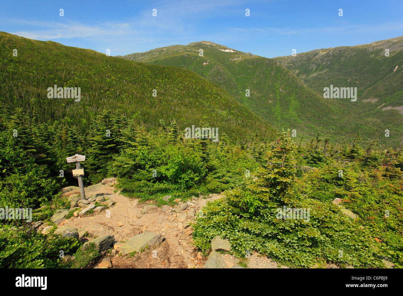 Great Gulf Wilderness, Chandler Brook Trail and Great Gulf Trail with ...