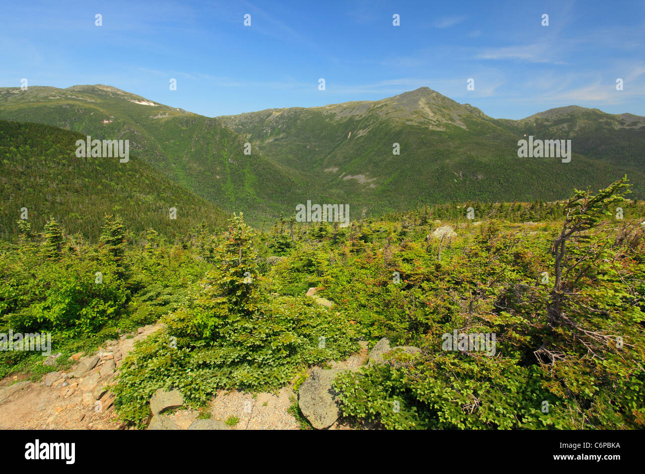 Great Gulf Wilderness, Chandler Brook Trail and Great Gulf Trail with ...
