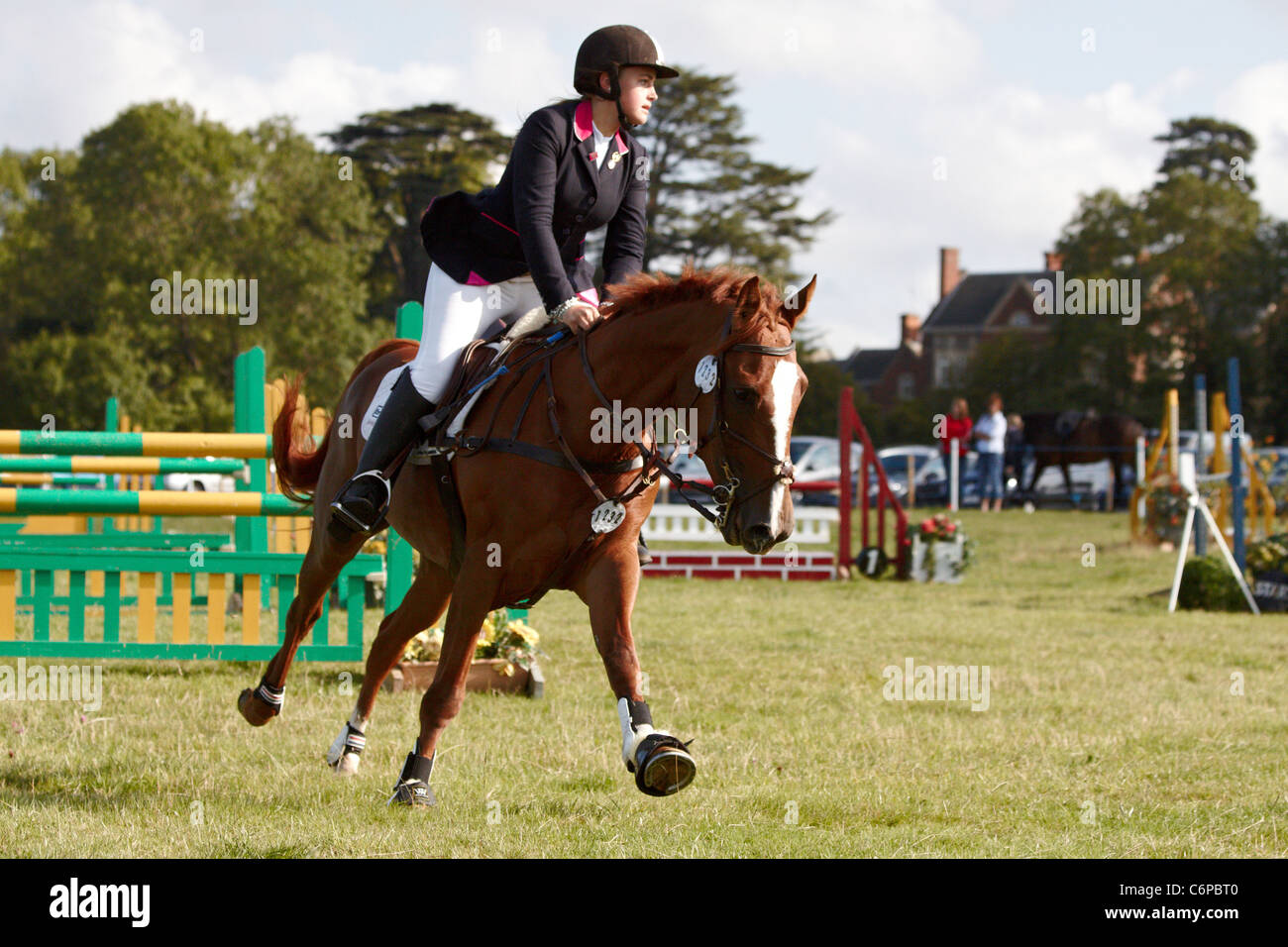 Show jumping fence hi-res stock photography and images - Alamy