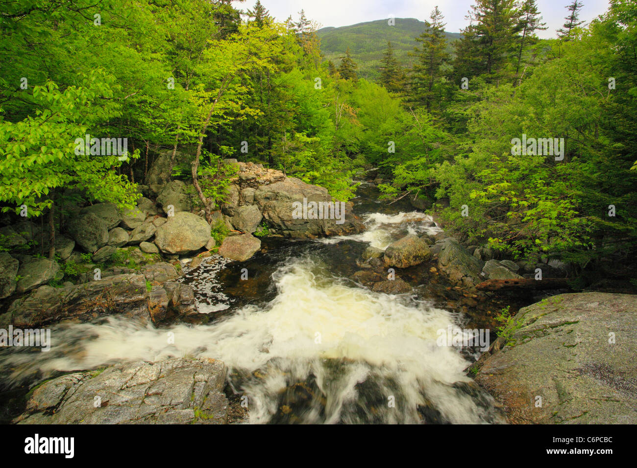 Waterfall Beside Tuckerman Ravine Trail, Pinkham Notch, White Mountains ...