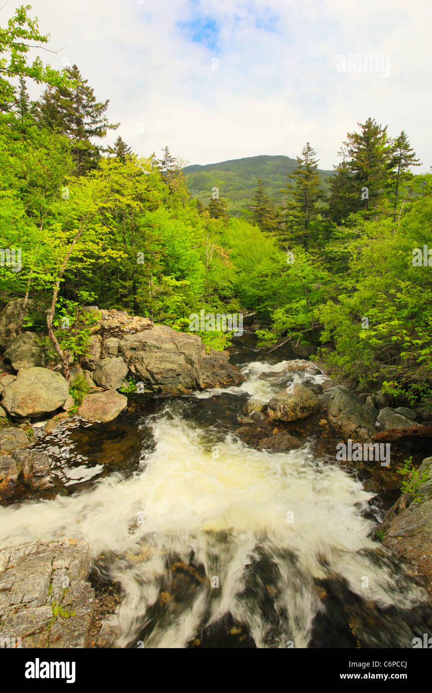 Pinkham Notch High Resolution Stock Photography and Images - Alamy