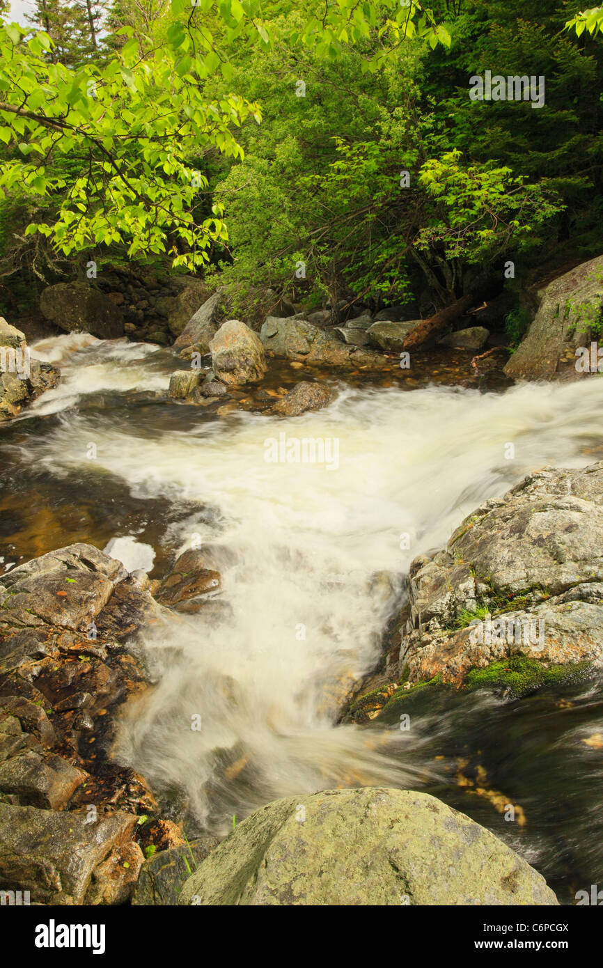 Waterfall Beside Tuckerman Ravine Trail, Pinkham Notch, White Mountains ...
