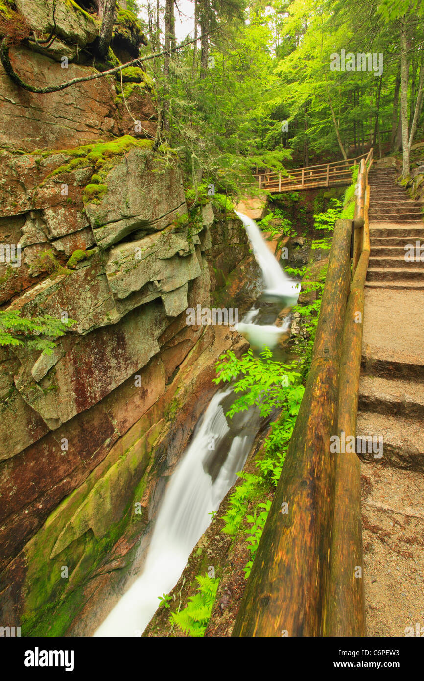 Trail at Sabbaday Falls, Kancamagus Highway, Waterville Valley, White ...