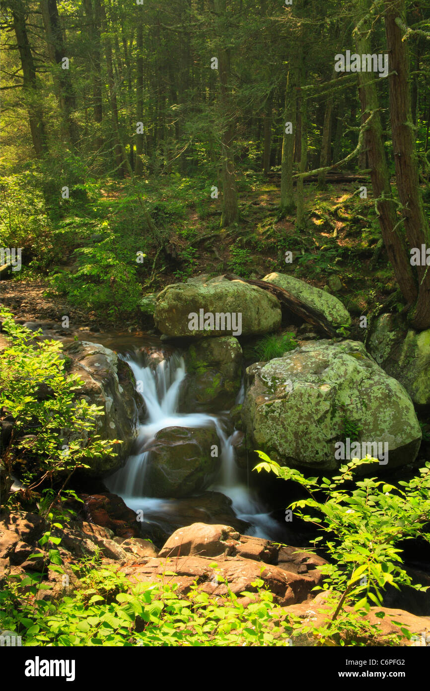 Waterfall Beside Jeremy's Run Trail, Shenandoah National Park, Virginia ...