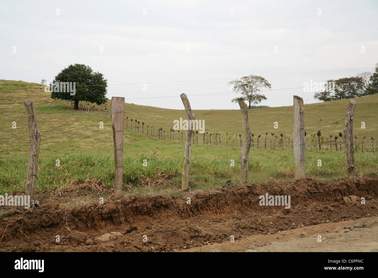 Rural fields at the Los Santos Province, Panama Stock Photo - Alamy