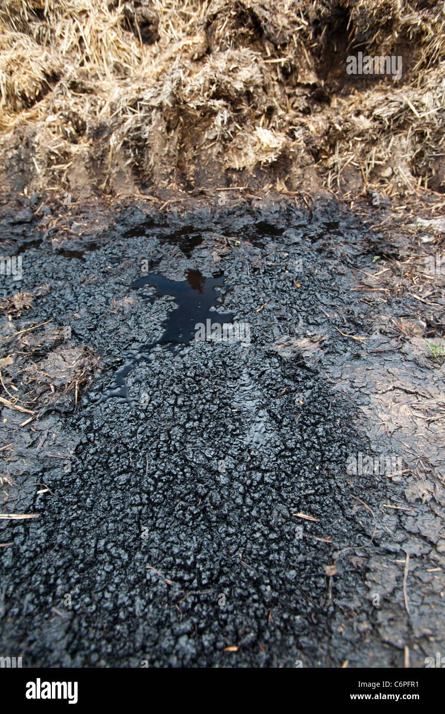 Liqued leaching from a manure pile Stock Photo - Alamy