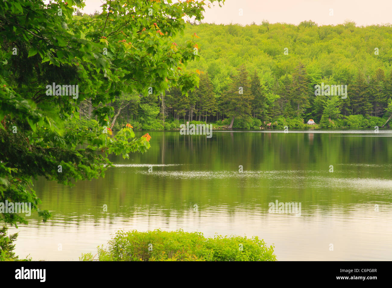 Grout pond hi-res stock photography and images - Alamy